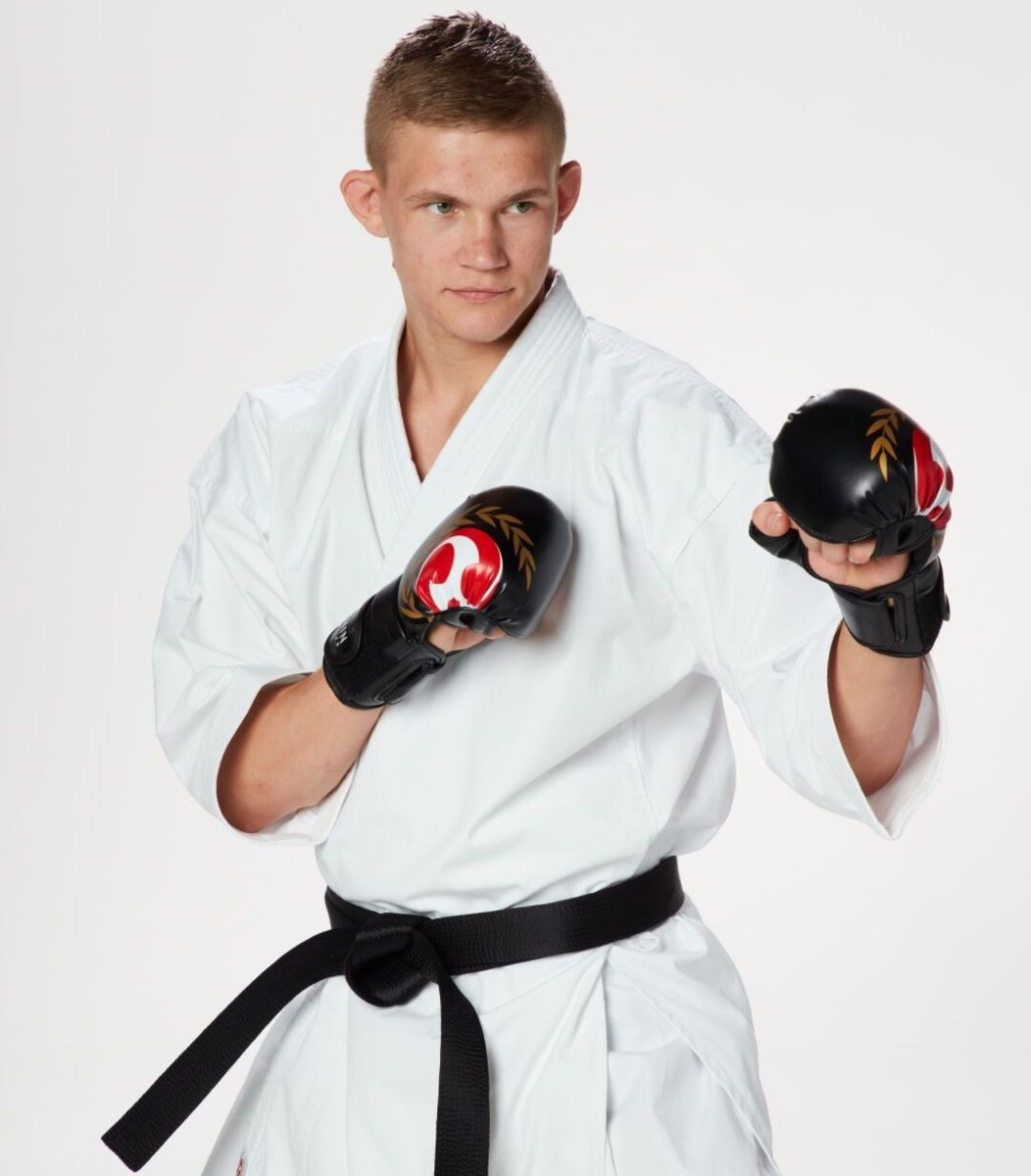 Seishin Fight Gloves – Seishin International